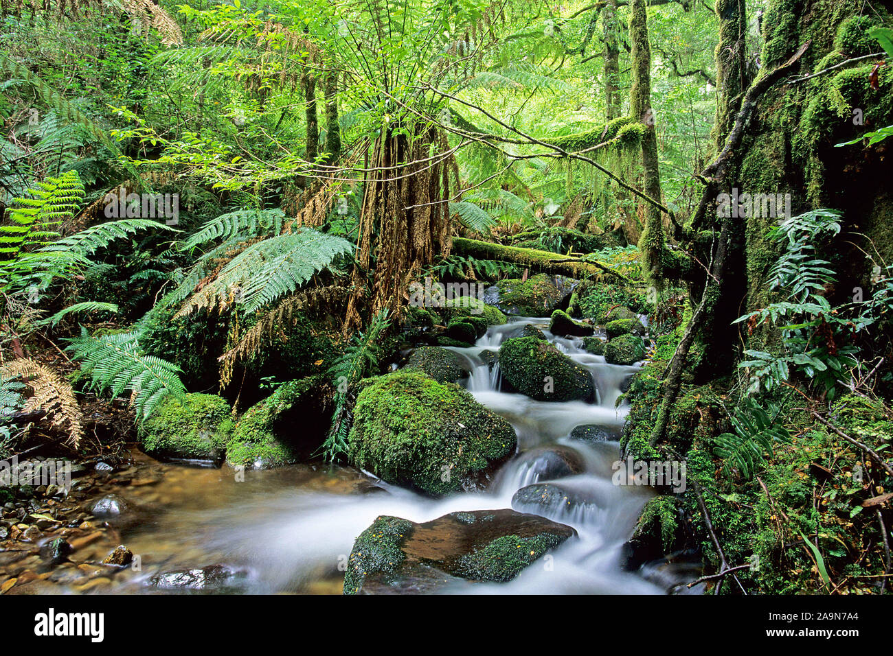 Yarra-Ranges National Park, Australien Stock Photo - Alamy