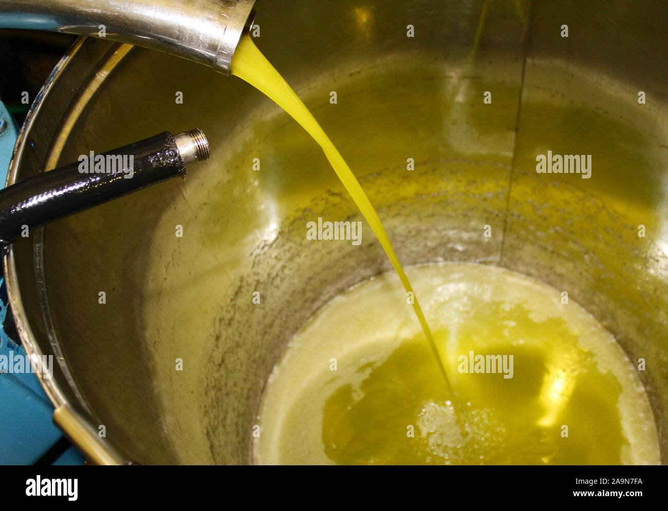 Extra virgin olive oil extraction process in olive oil mill in Greece ...