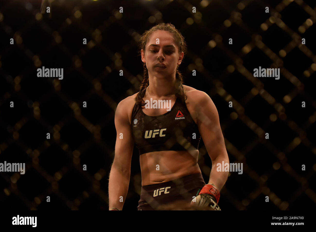 SÃO PAULO, SP - 16.11.2019: UFC FIGHT NIGHT BLACHOWICZ X JACARÉ ...