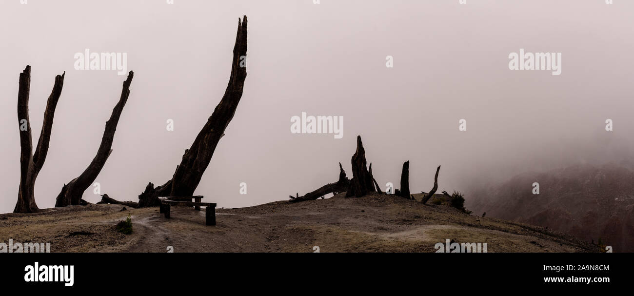 Dead trees eruption andes hi-res stock photography and images - Alamy