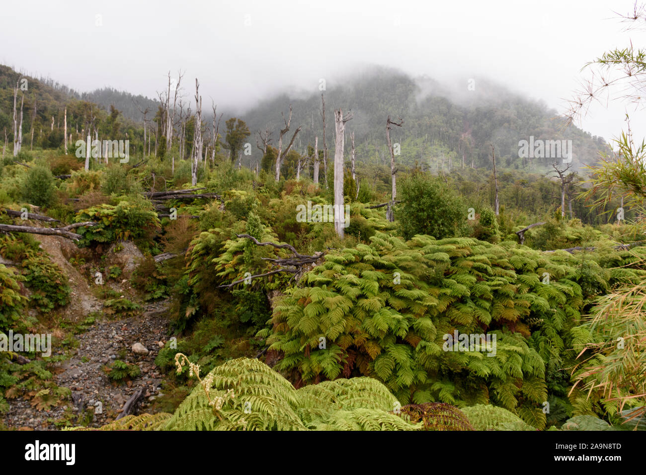 Volcano andes chaiten hi-res stock photography and images - Alamy