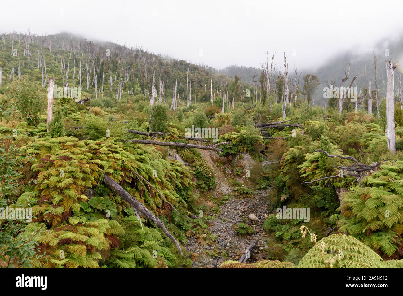 Eruption process hi-res stock photography and images - Alamy