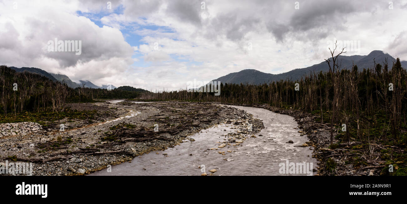 Forest in recovering process after been destroyed by Chaiten's volcano ...