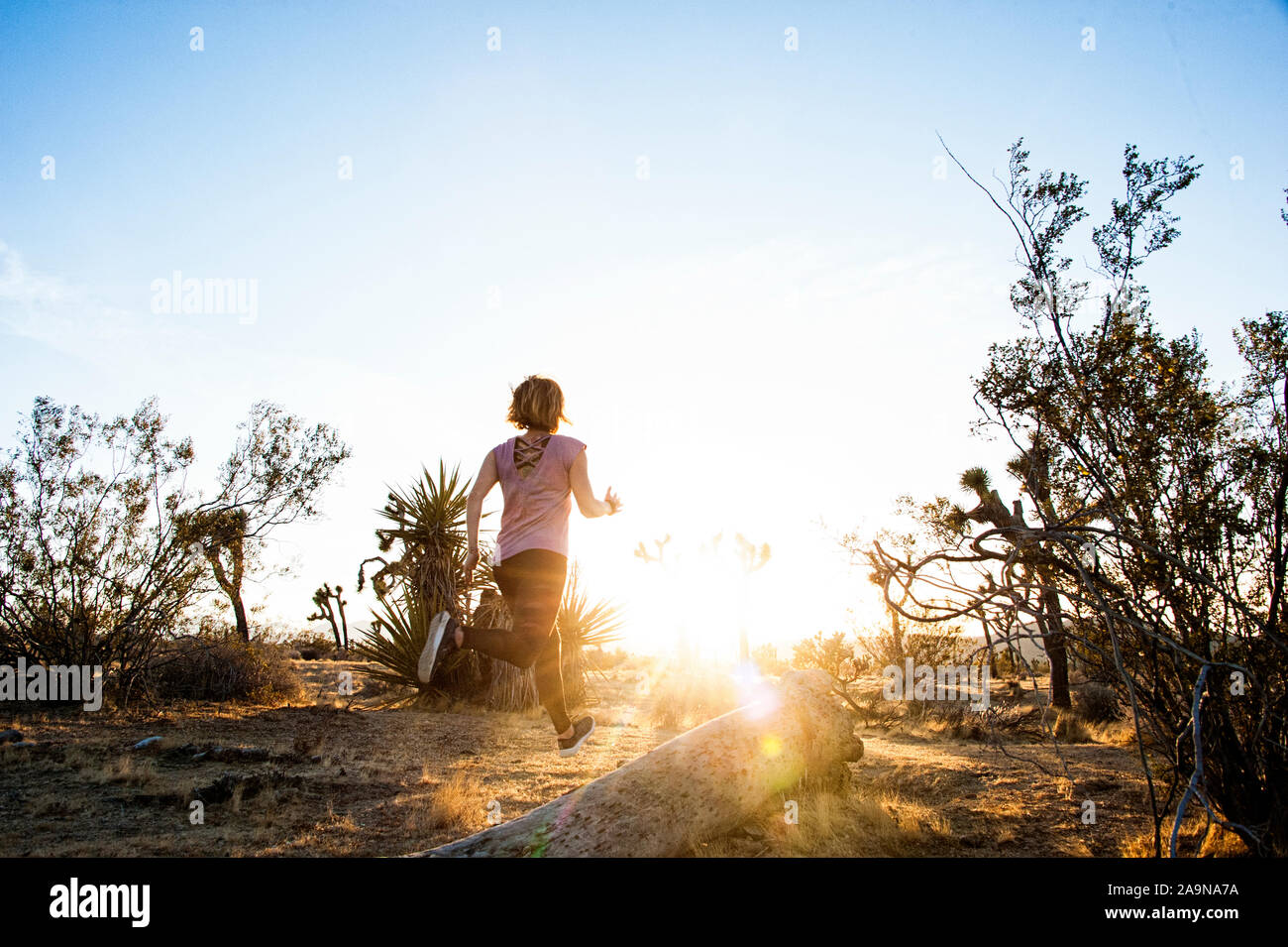 Yoga poses in joshua tree hi-res stock photography and images - Alamy