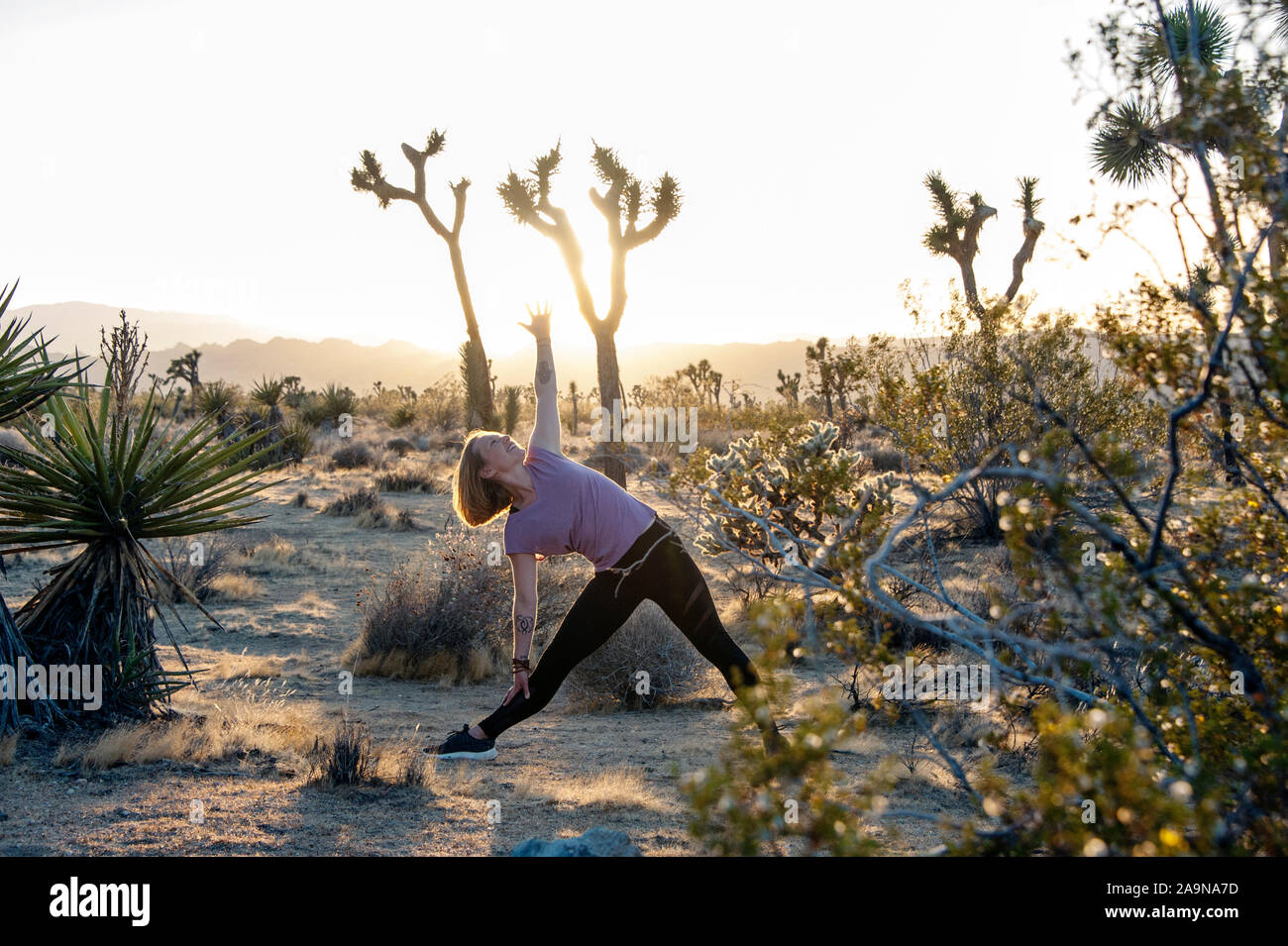 Yoga poses in joshua tree hi-res stock photography and images - Alamy