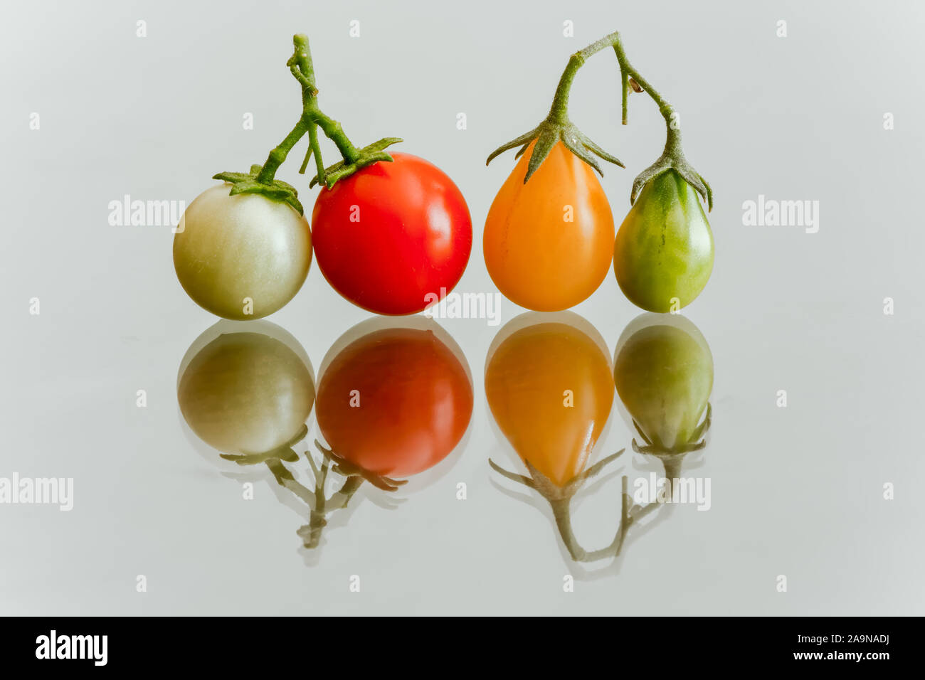 Colorful cherry tomatoes and their reflections Stock Photo - Alamy