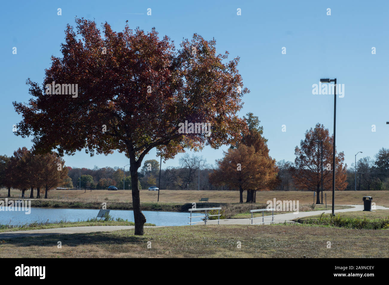 Colors of the fall, park view some where in north Texas Stock Photo - Alamy