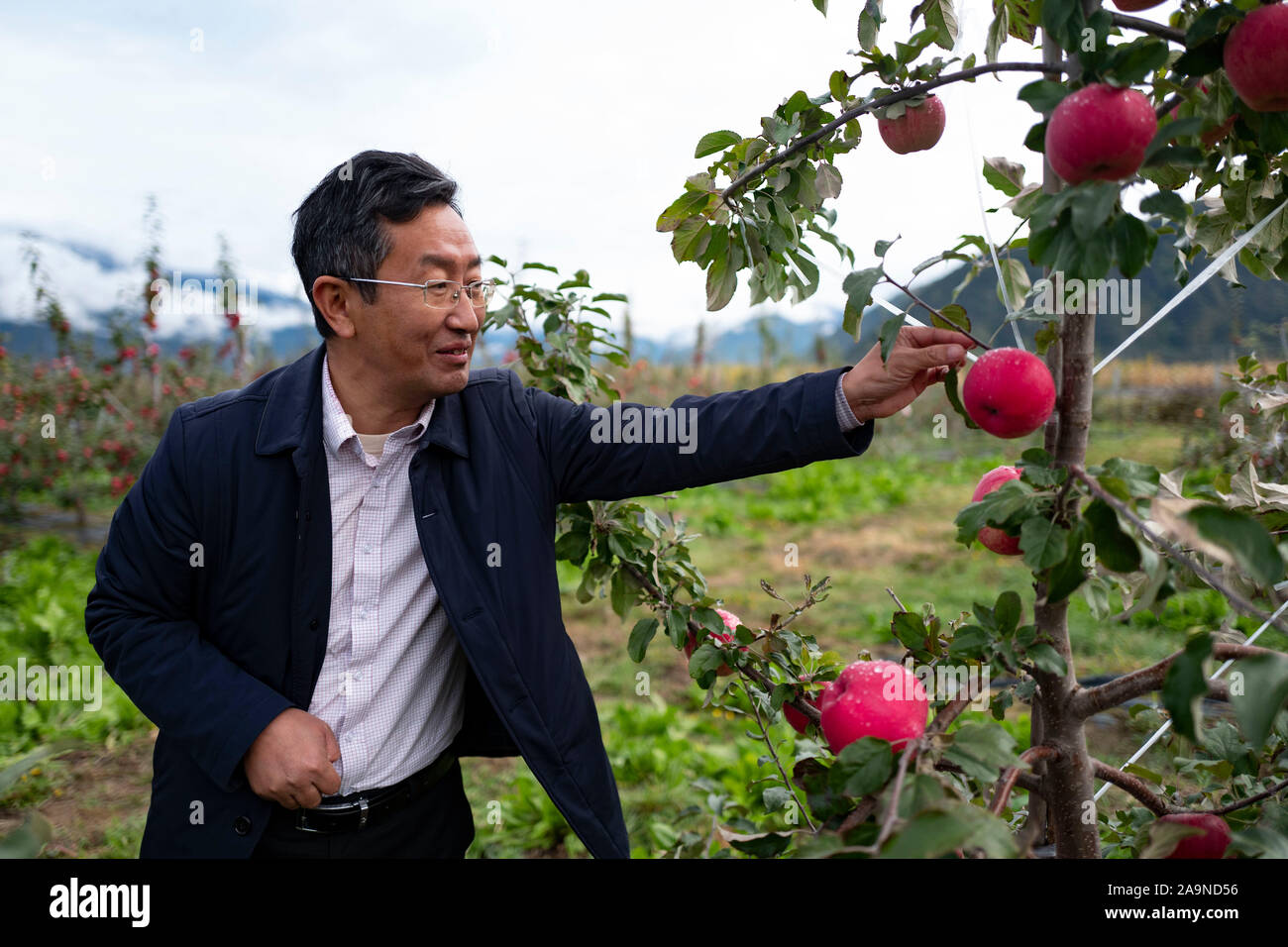 (191117) -- LHASA, Nov. 17, 2019 (Xinhua) -- Professor Xie Hongjiang ...