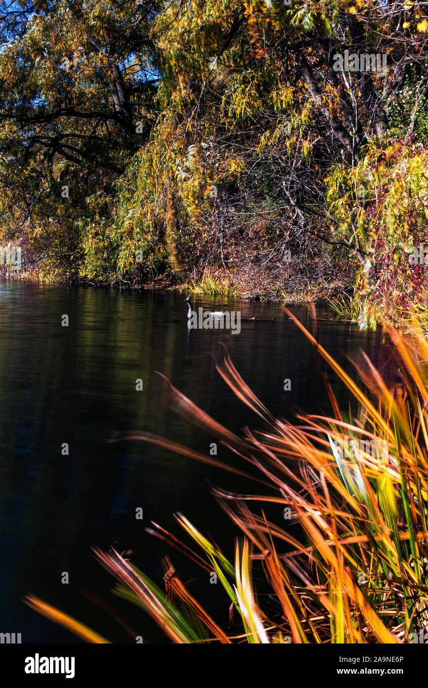 High Park Woodlands Stock Photo - Alamy