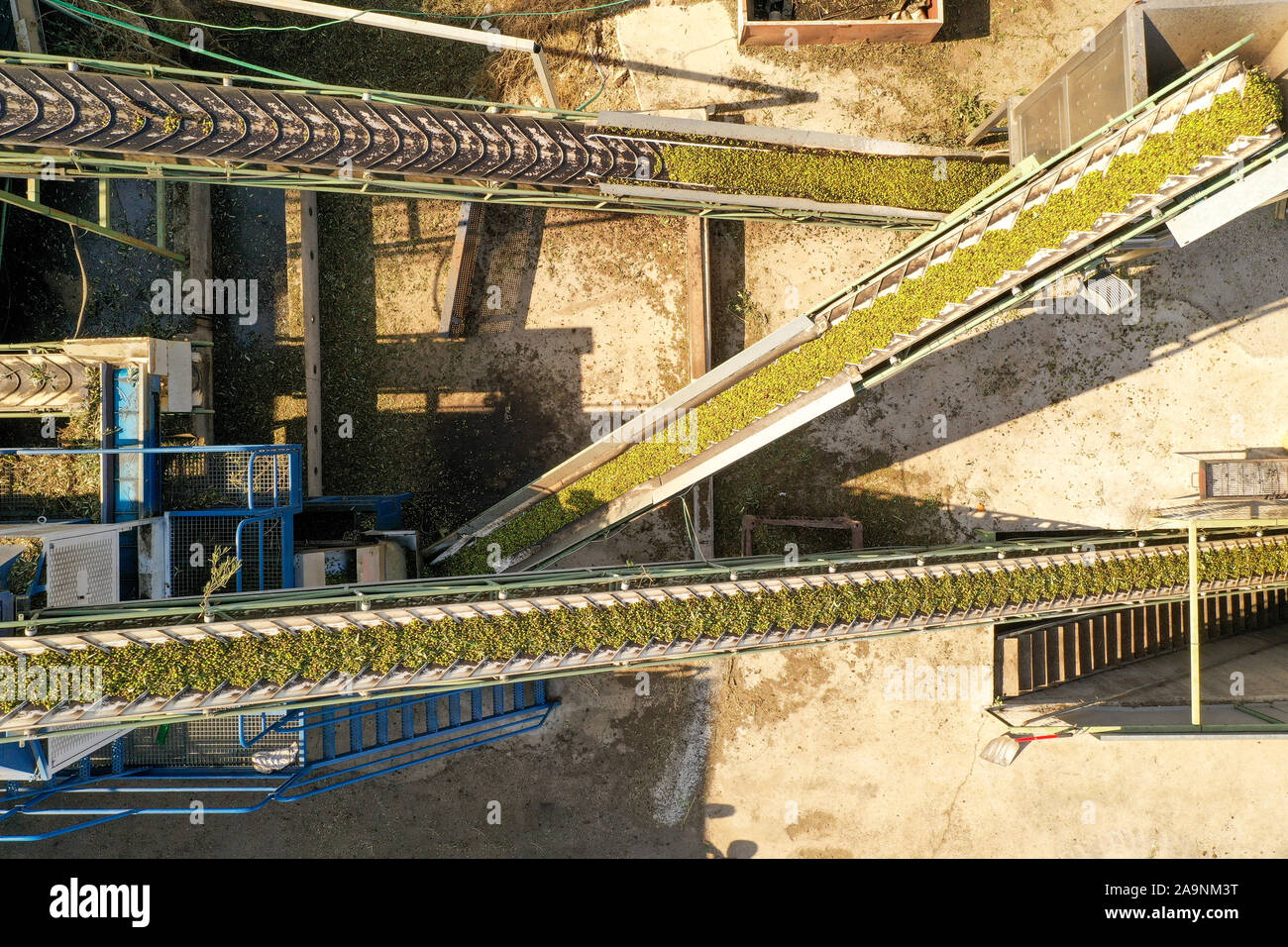 Olive trees factory hi-res stock photography and images - Alamy