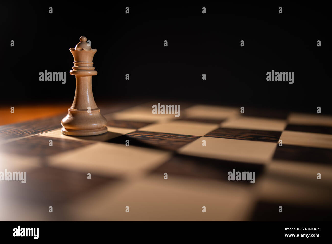 Isolated queen chess piece on a chess board, representing strategy ...