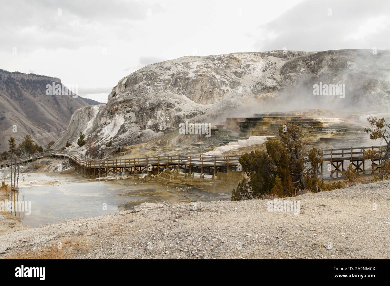 The boardwalk near Mound Spring at Mammoth Hot Springs in Yellowstone ...