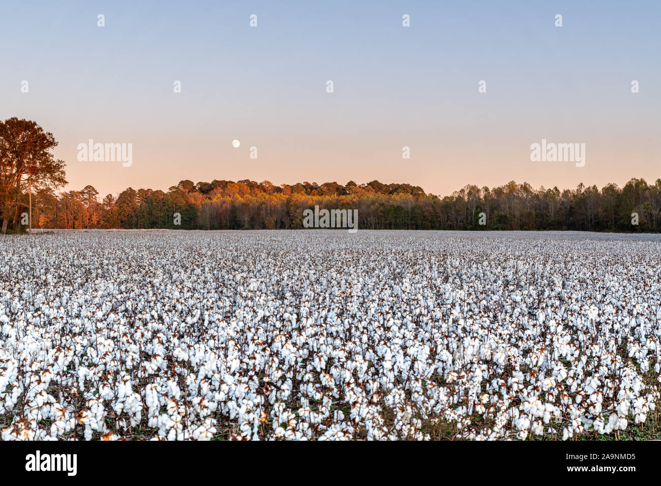 Suffolk virginia hi-res stock photography and images - Alamy