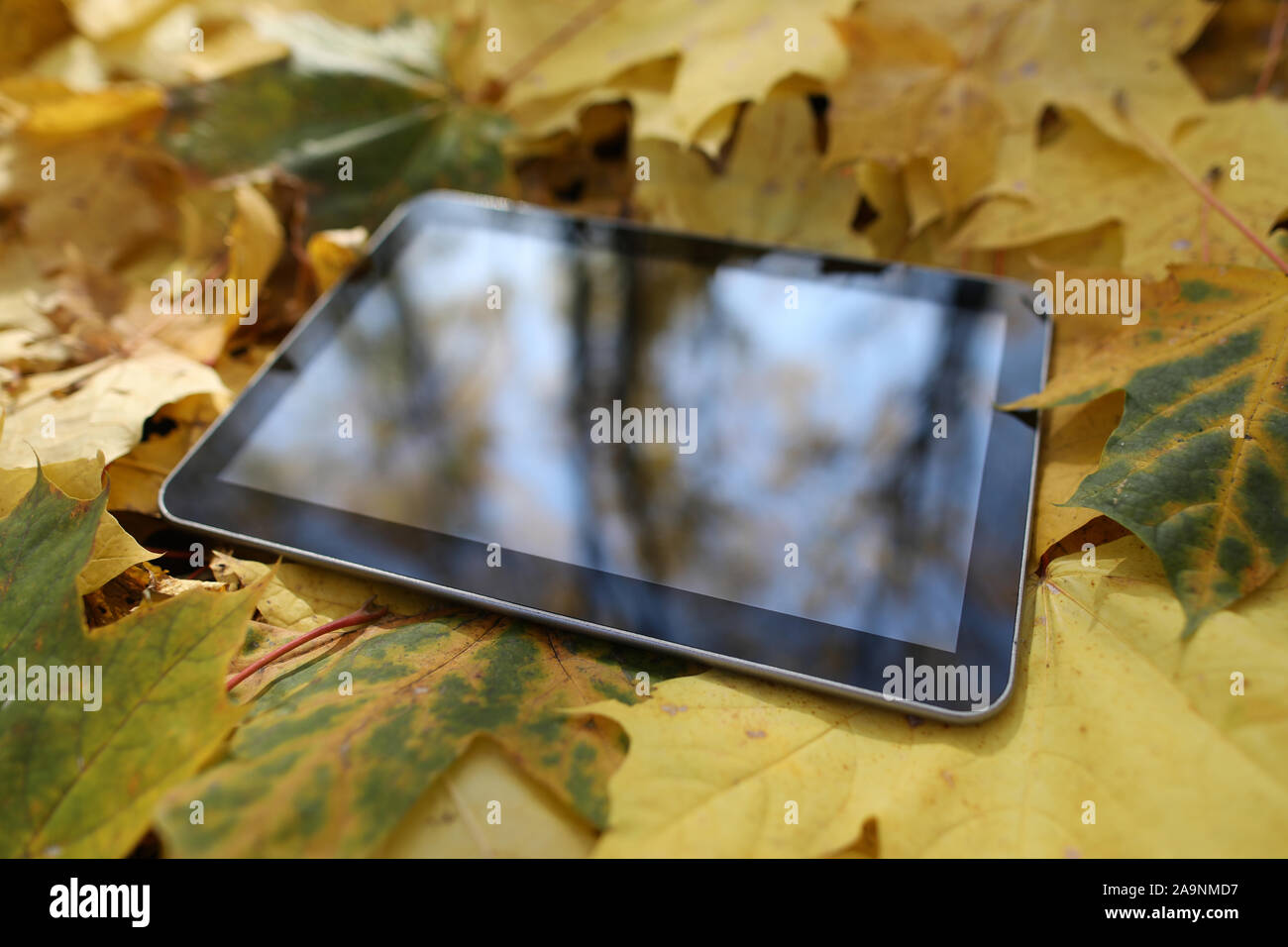 Tablet lying in leaves Stock Photo - Alamy