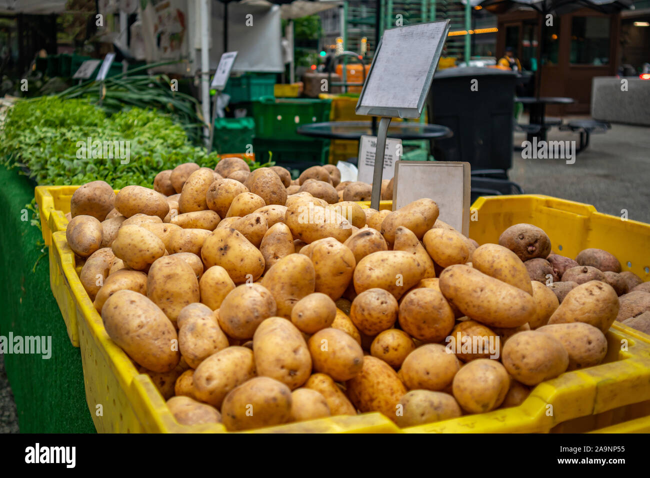 Organic potatoes for sale at an open air farmers market stall, Chicago ...