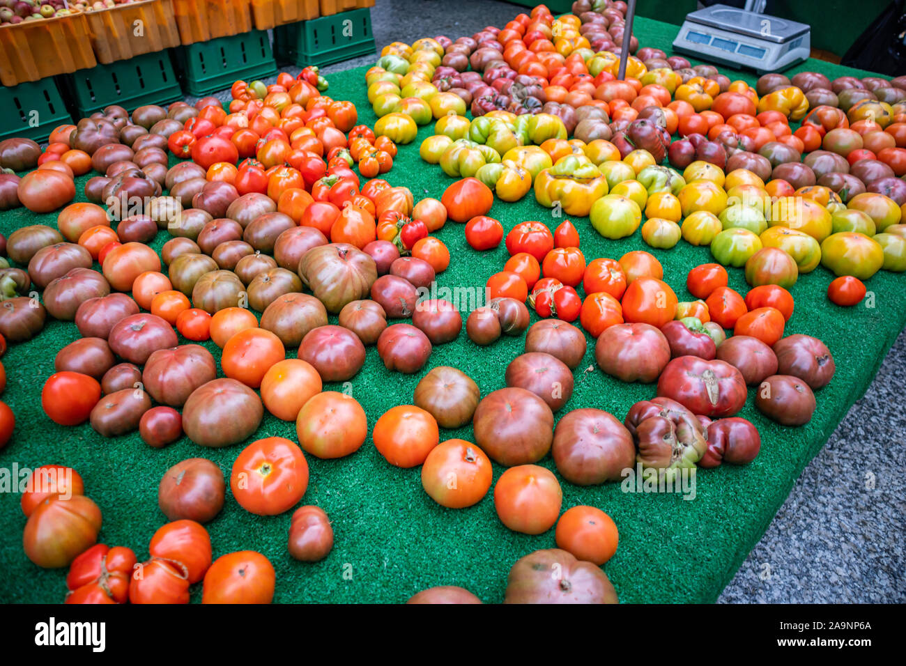 Organic tomatoes variety for sale at an open air farmers market stall ...