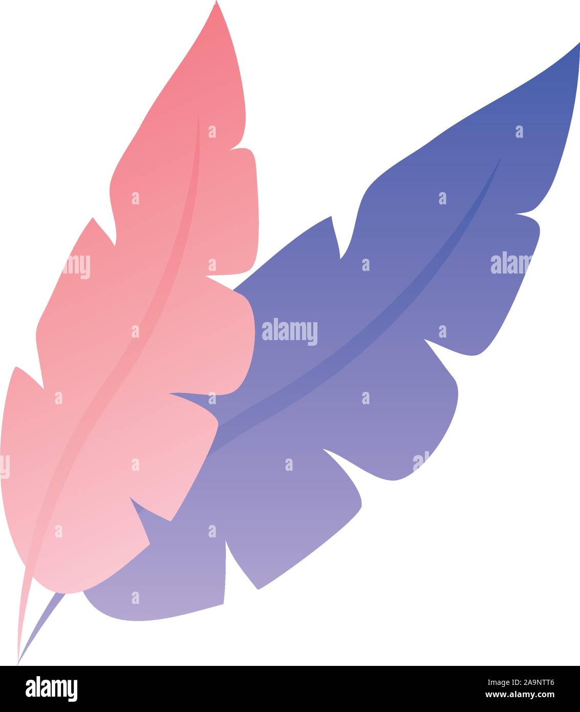 feather bird fantasy gradient style vector illustration Stock Vector ...