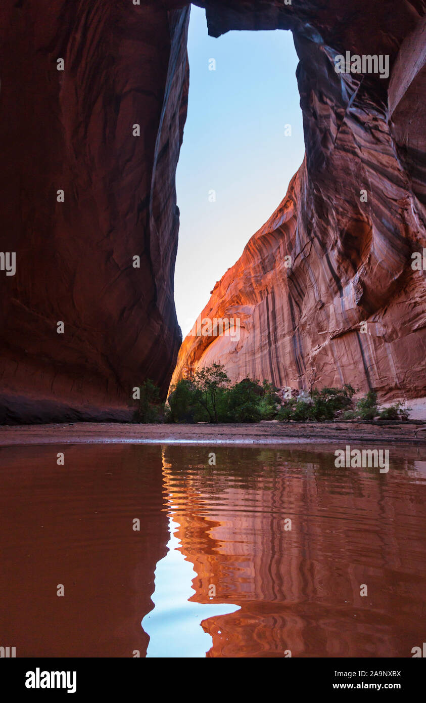 Golden Cathedral in Neon Canyon, Escalante National Park, Utah Stock ...