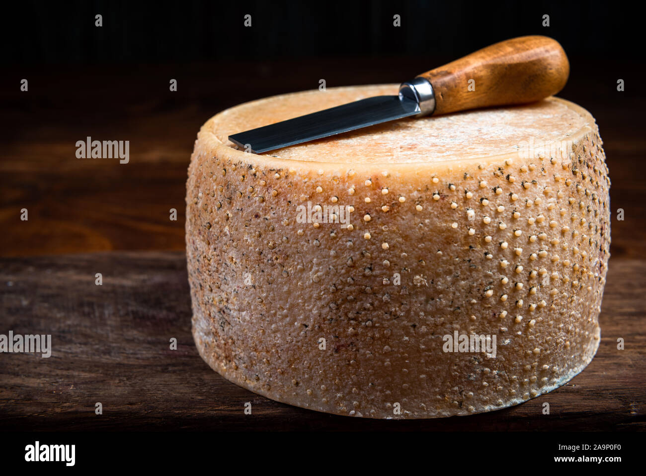 Hard Cheese Wheel Matured in Diary Cellar with Cheese Knife Stock Photo ...