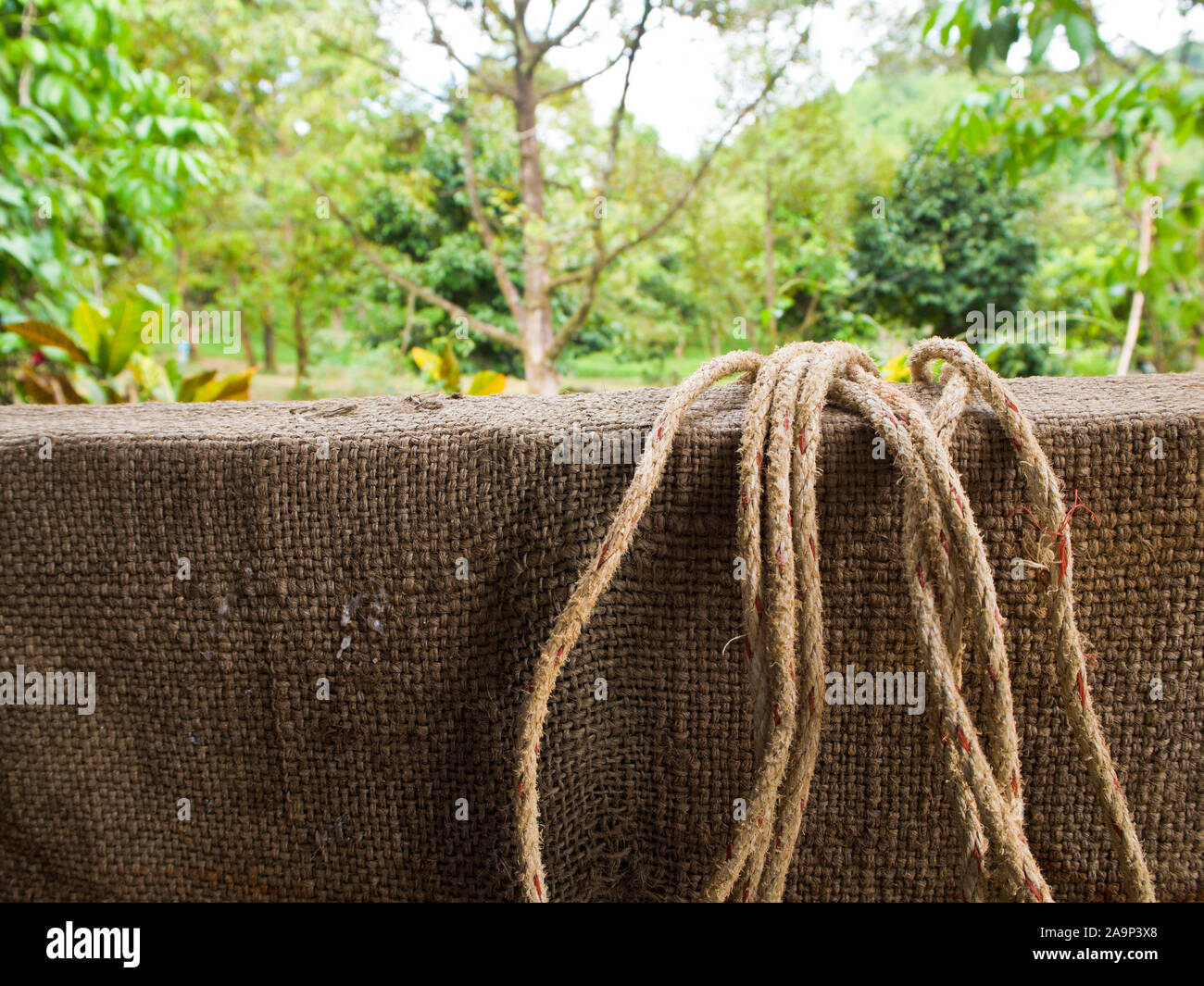 Hemp sack and rope on wall Stock Photo - Alamy