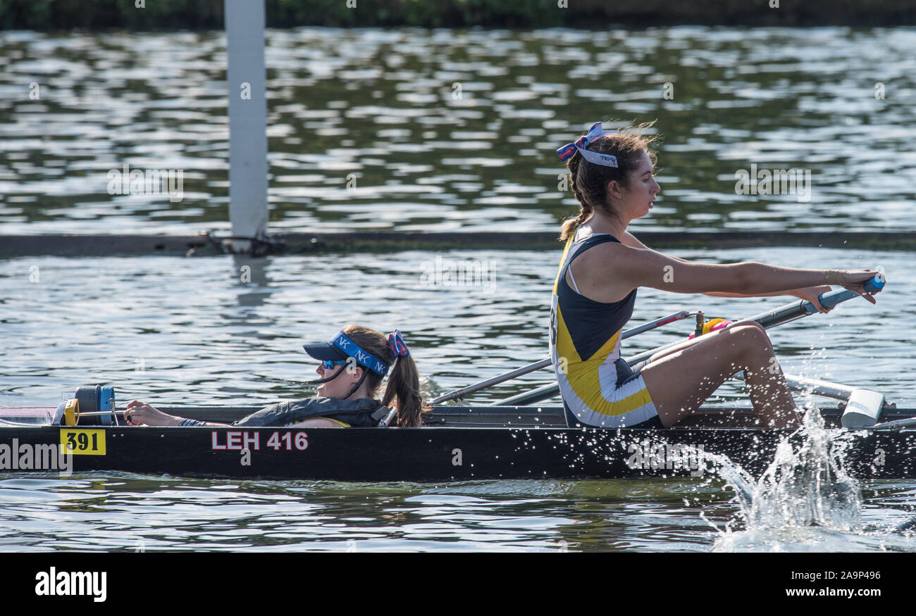 Merion High Resolution Stock Photography and Images - Alamy