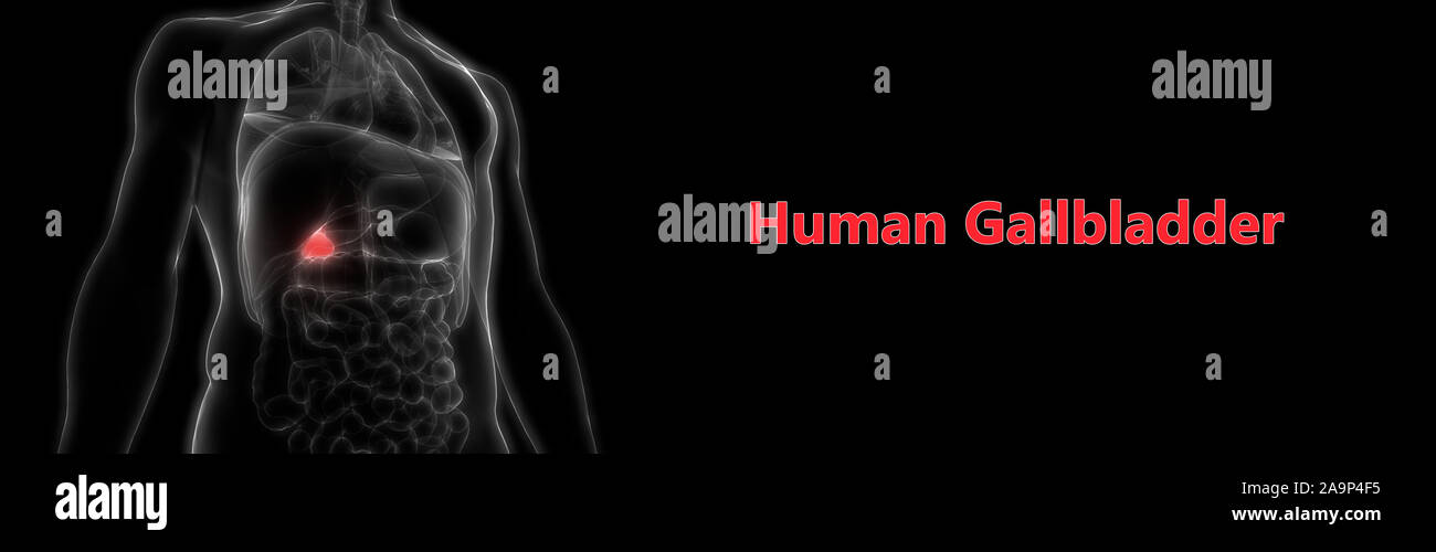 Gallstones hi-res stock photography and images - Alamy