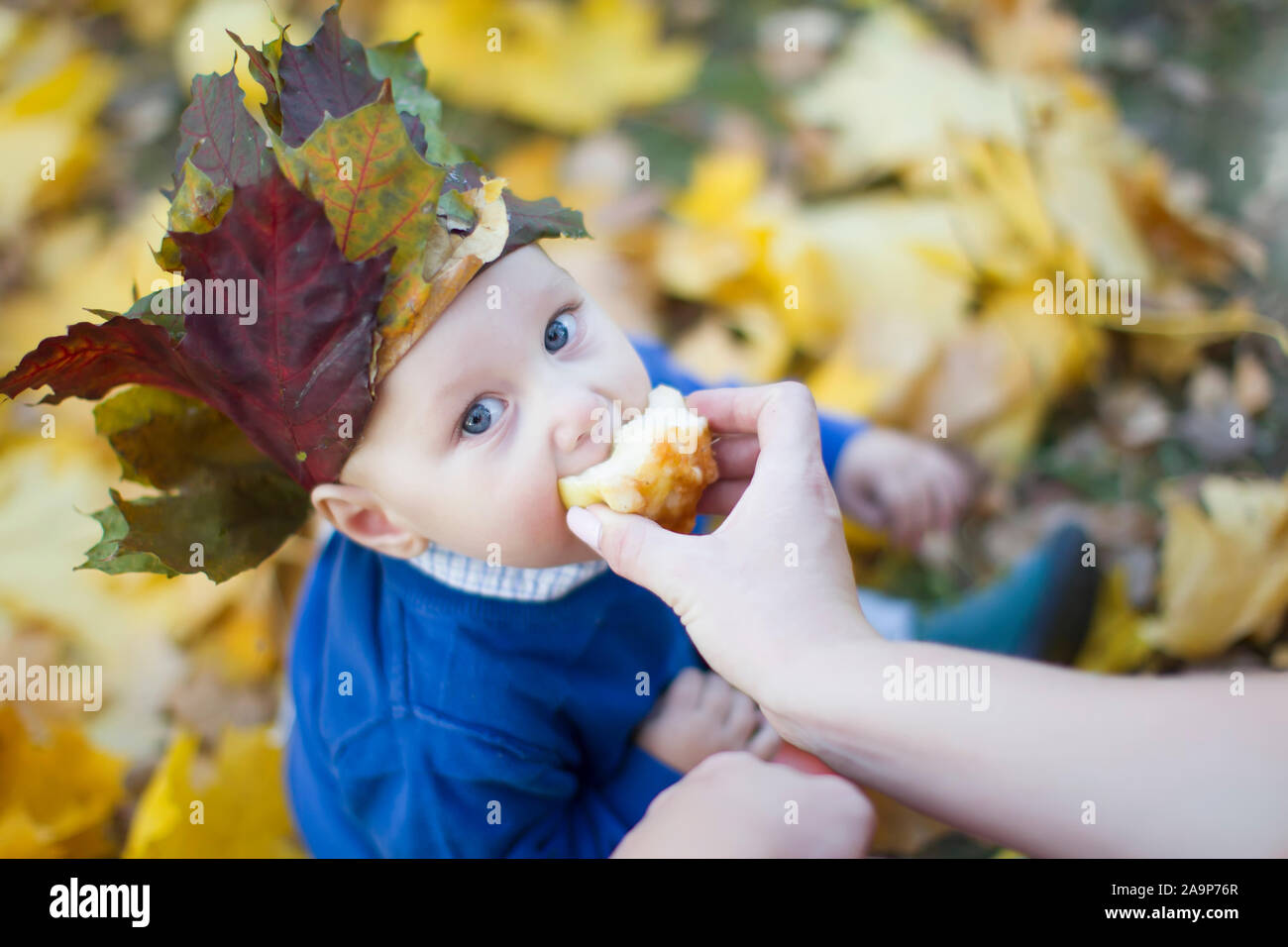 One year old baby on an autumn walk. Beautiful child in creoron from ...