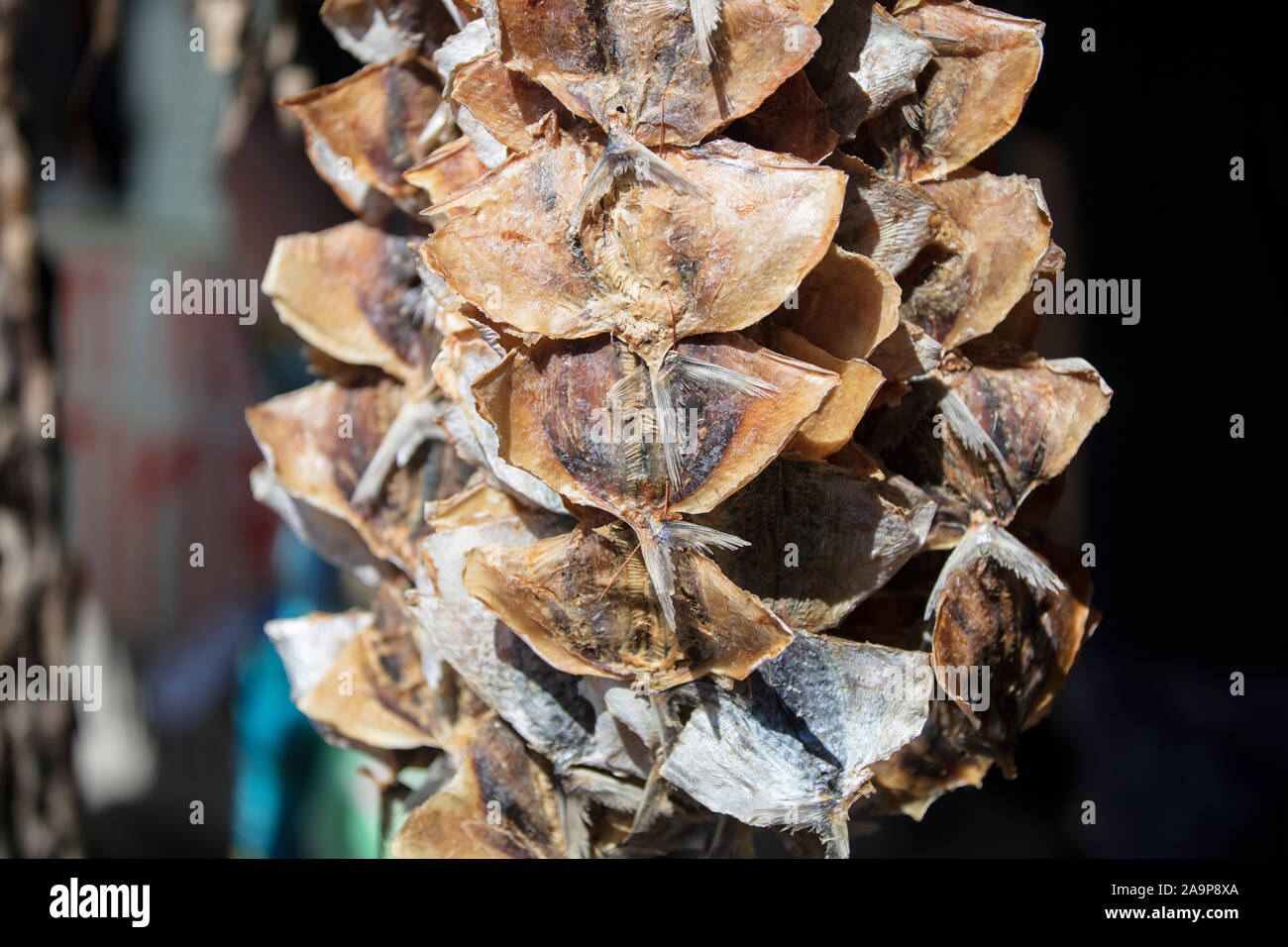 Dried fish hanging on a rope. Taranka Stock Photo - Alamy