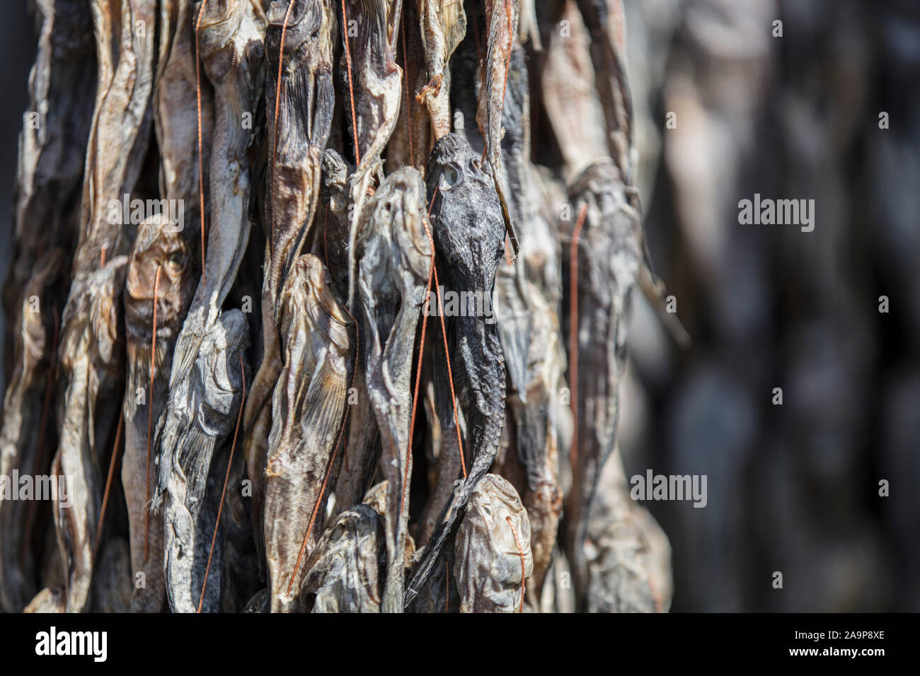 Taranka High Resolution Stock Photography and Images - Alamy