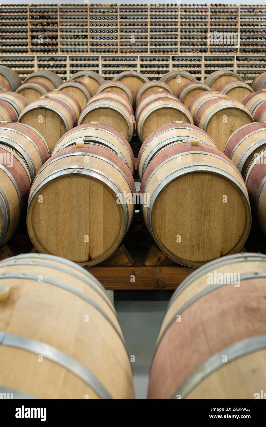 Wooden wine barrels for storage in wine cellar Stock Photo - Alamy