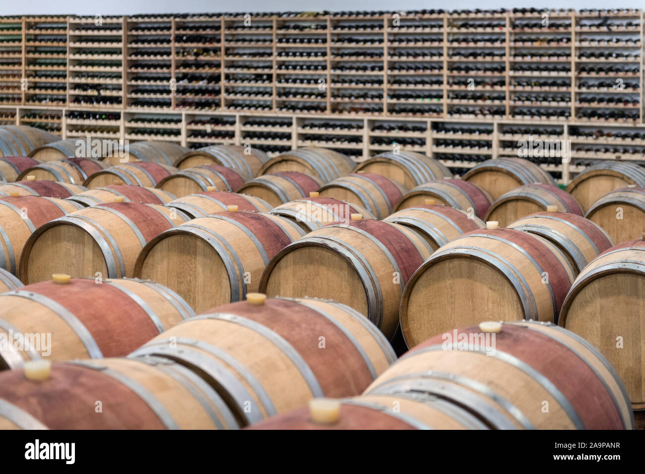 Wooden wine barrels for storage in wine cellar Stock Photo - Alamy