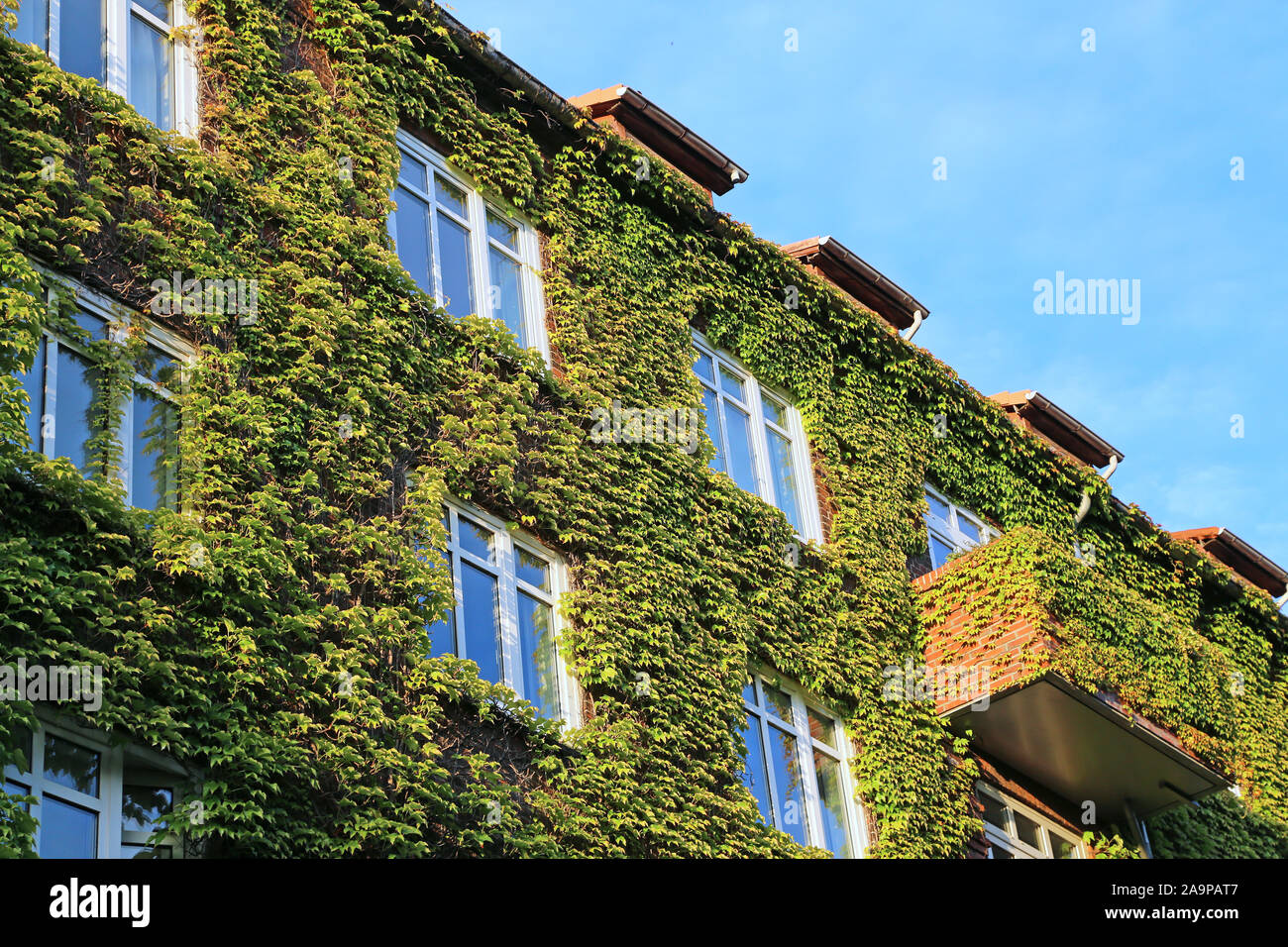 Facade greenery hi-res stock photography and images - Alamy