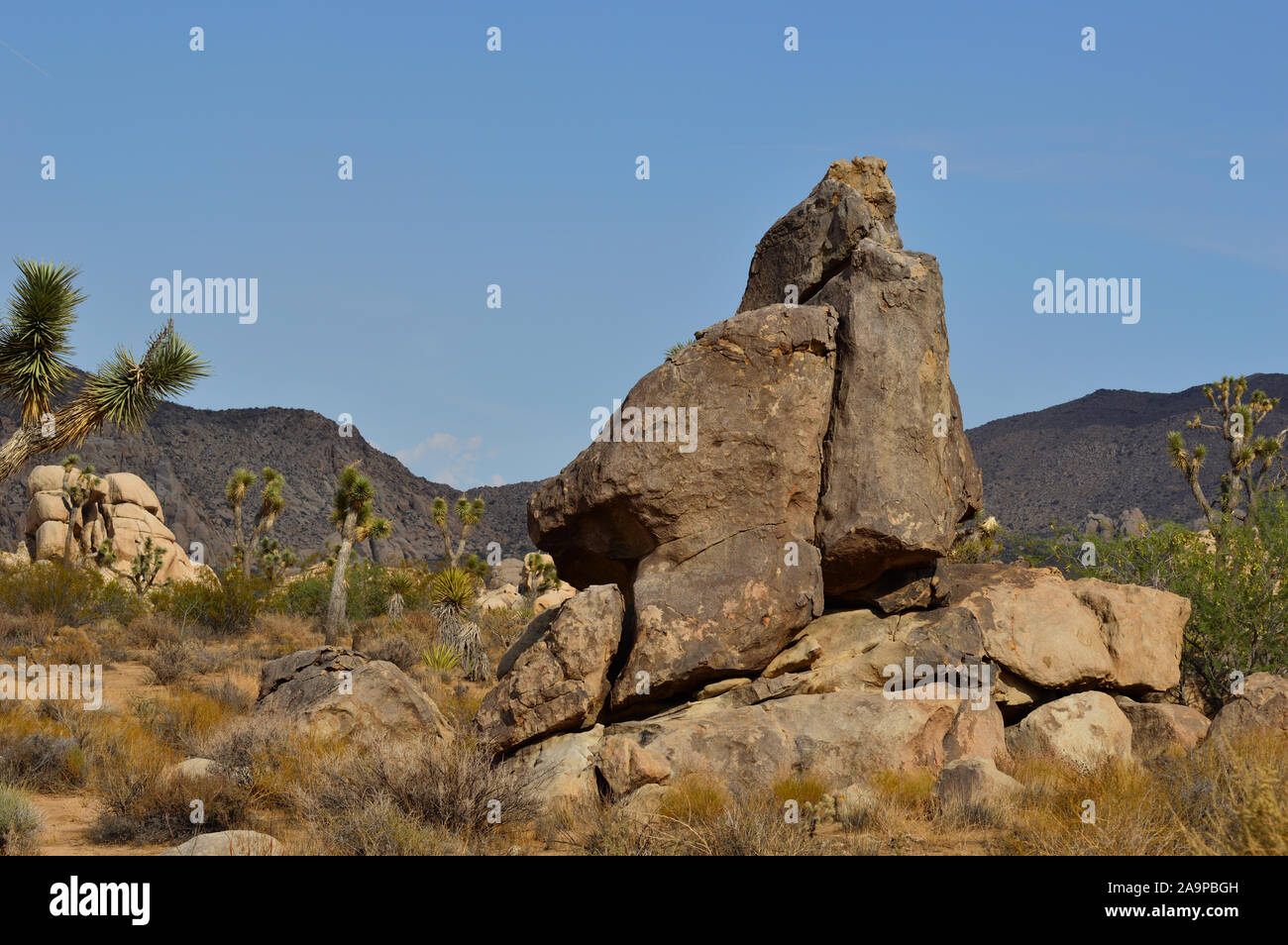 Palm Springs, California - July 2018: The desert in Palm springs and ...