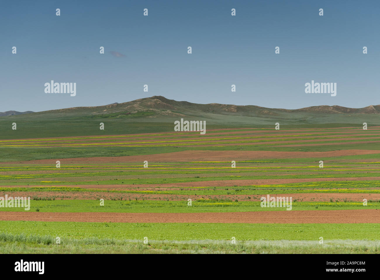 Gobi Desert landscape in Mongolia Stock Photo - Alamy