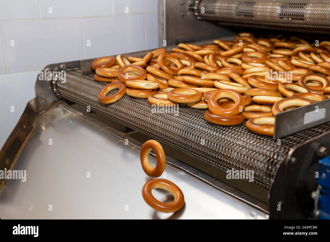 Industrial production of bagel bakery products. Barankin baking ...