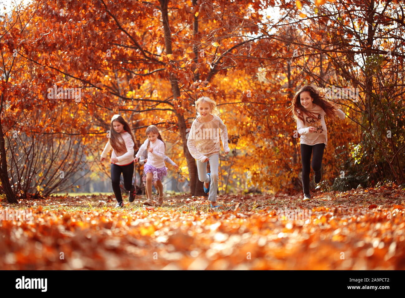 Children autumn forest hi-res stock photography and images - Alamy