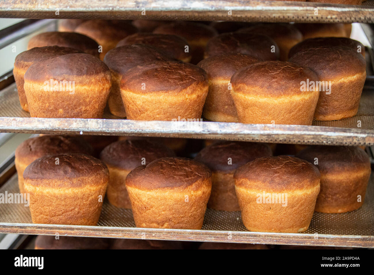 Industrial Production Of Bread Lots Of Baked Goods On Pallets Freshly Baked Bun Bakery Stock