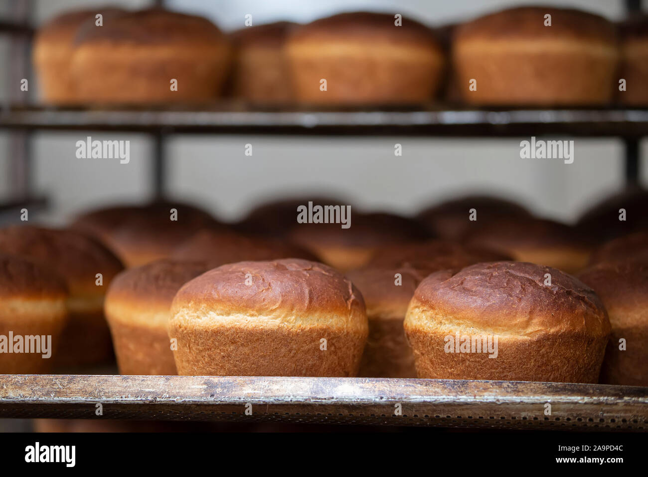 Pallets flour hi-res stock photography and images - Alamy