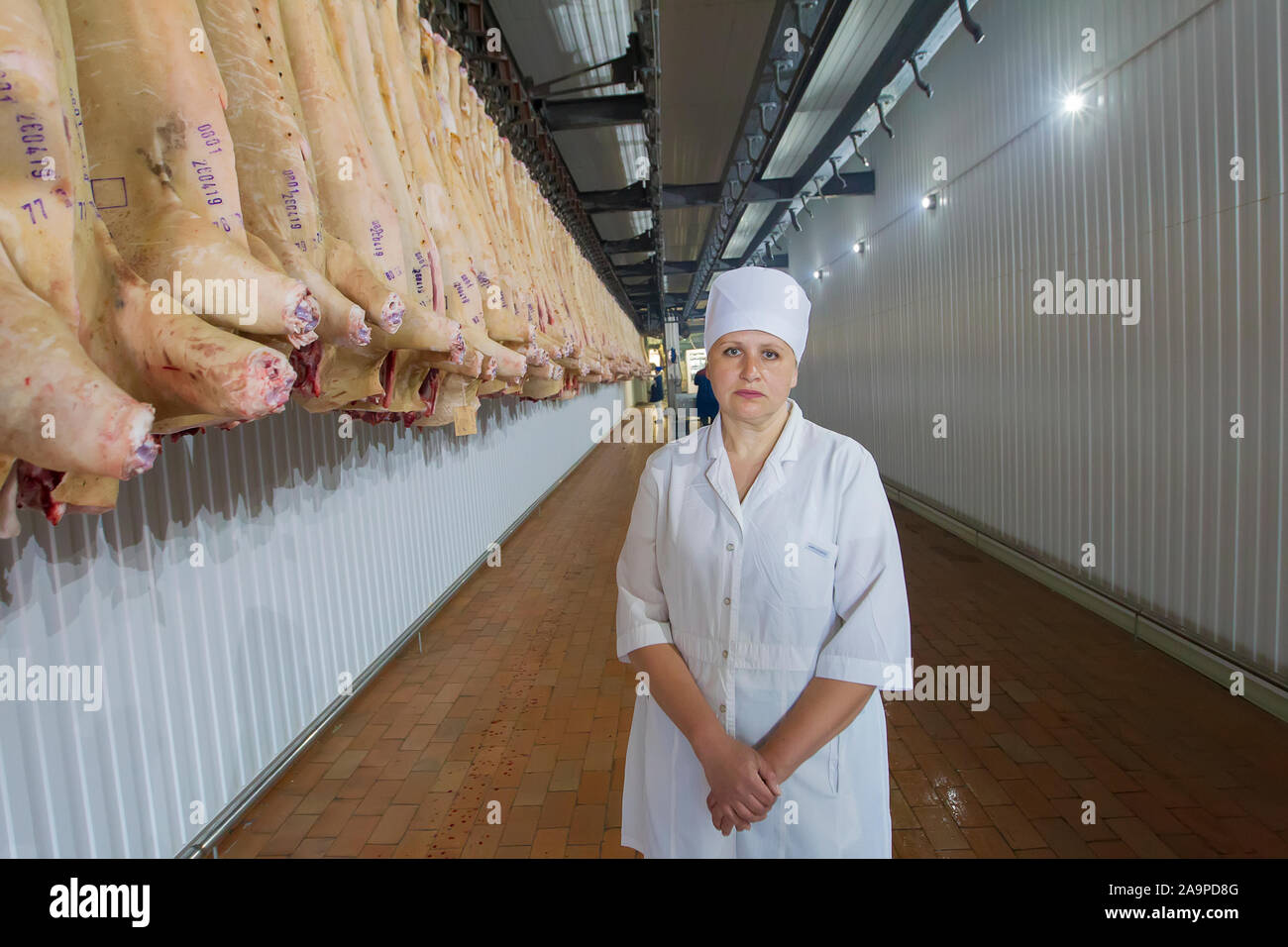 Meat factory hi-res stock photography and images - Alamy