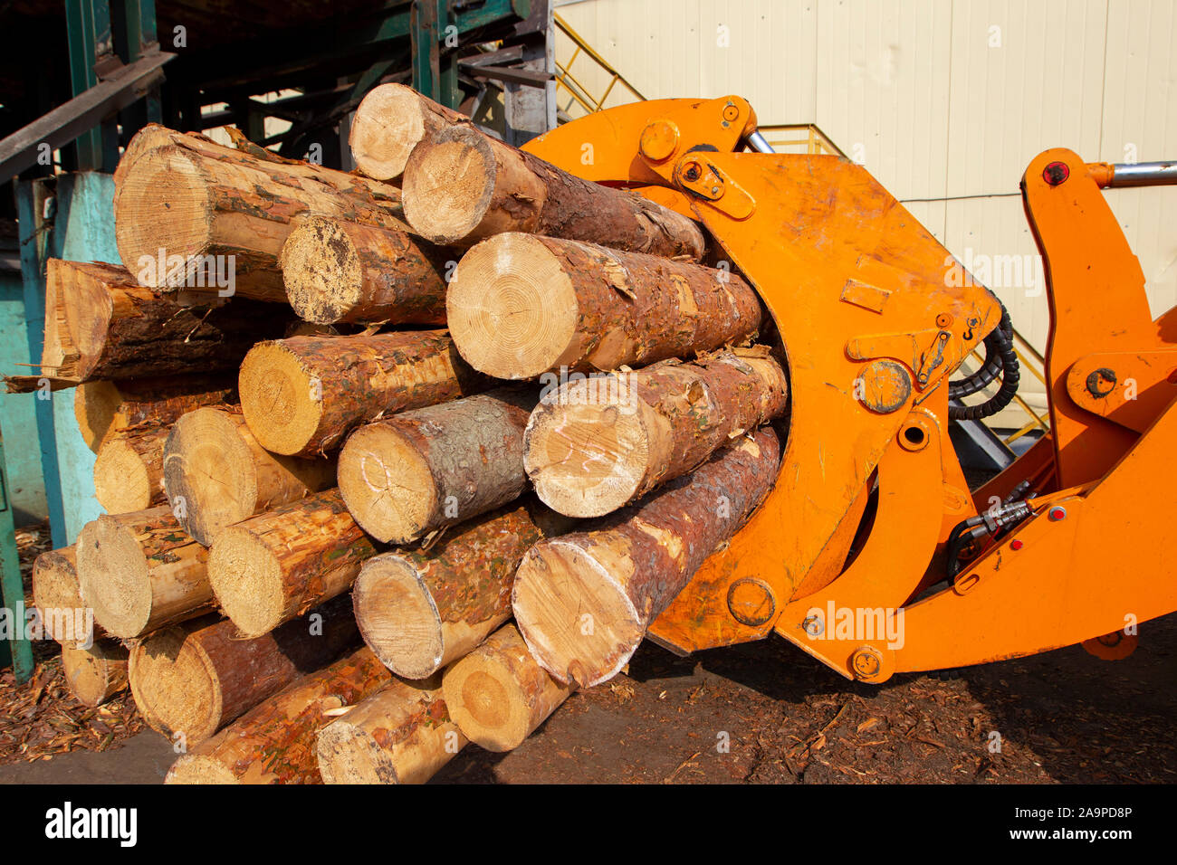 Wood processing industry. Loader with logs. Industrial wood processing ...