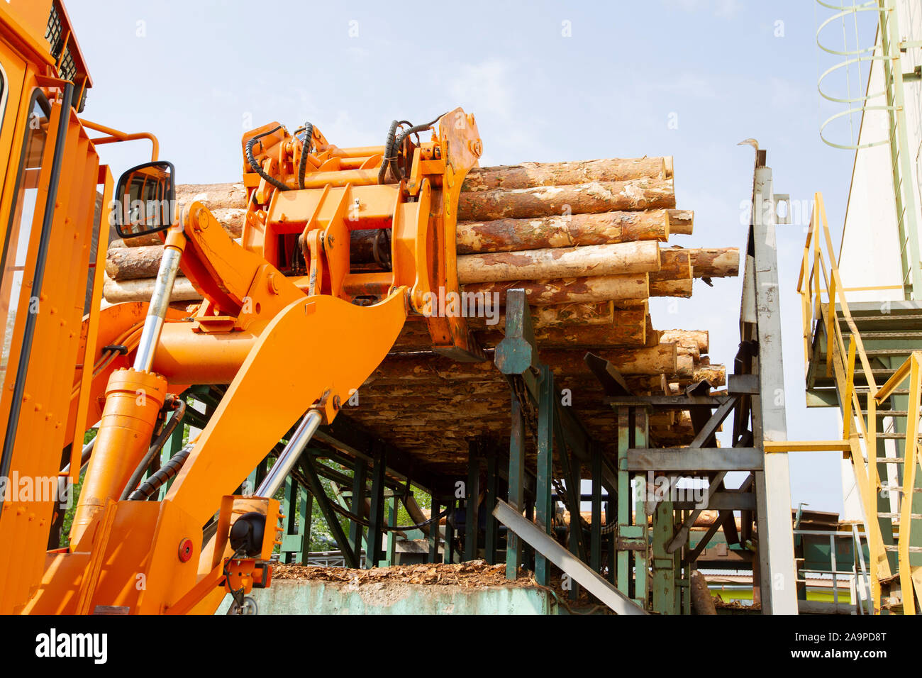 Wood processing industry. Loader with logs. Industrial wood processing ...