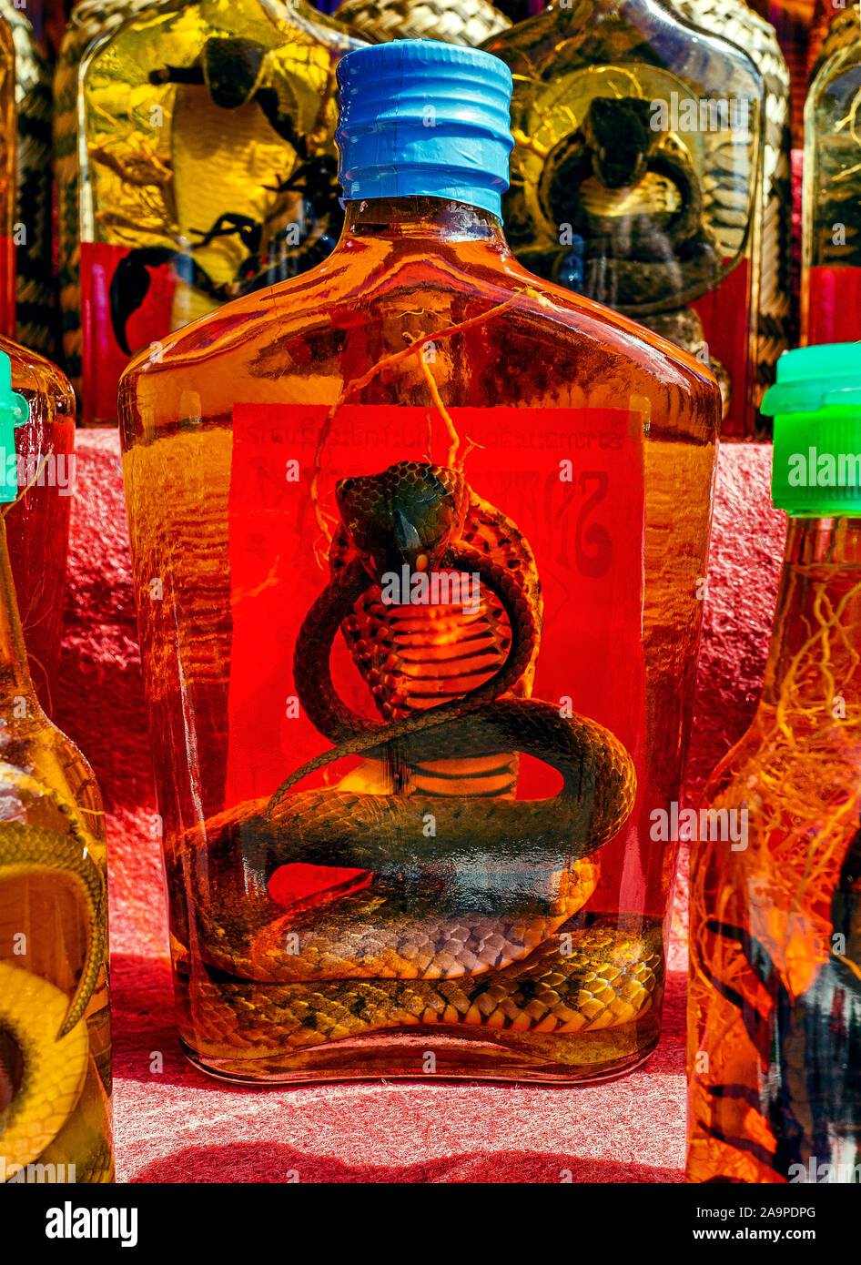 Snake Wine Health Benefits at Amber Boniwell blog