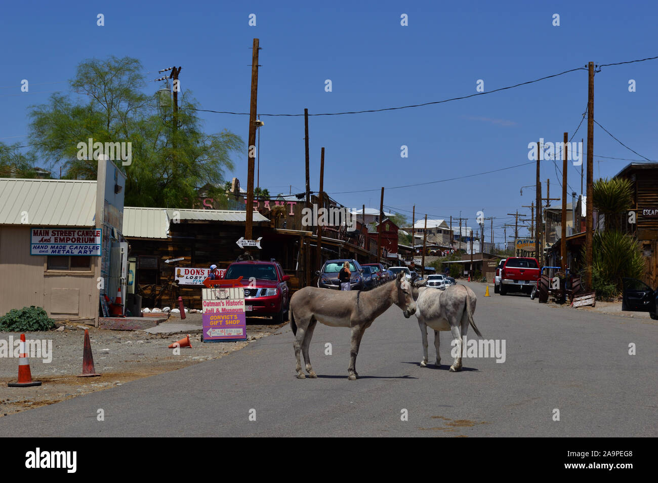 Oatman, Arizona, USA - July 2018: Iconic images of the famous and ...