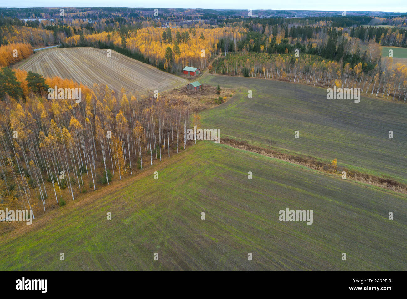 Finland forest aerial hi-res stock photography and images - Alamy