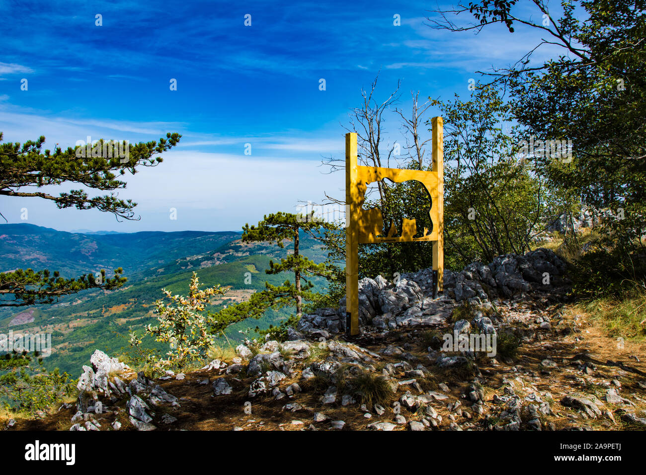 Banjska stena viewpoint in Tara National Park. Beautiful landscape of ...