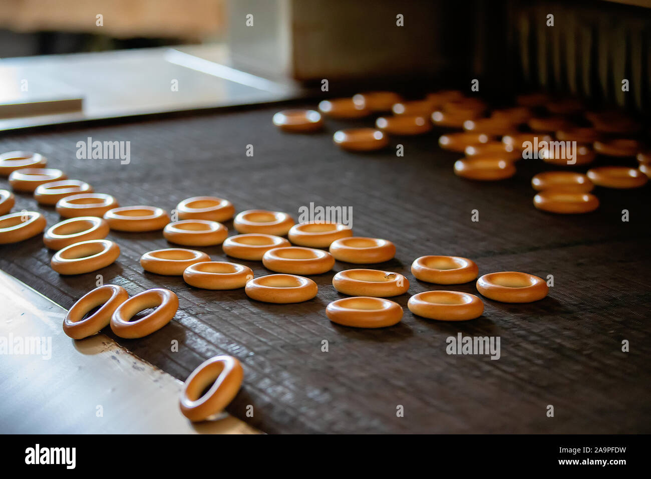 Industrial production of bagel bakery products. Barankin baking ...