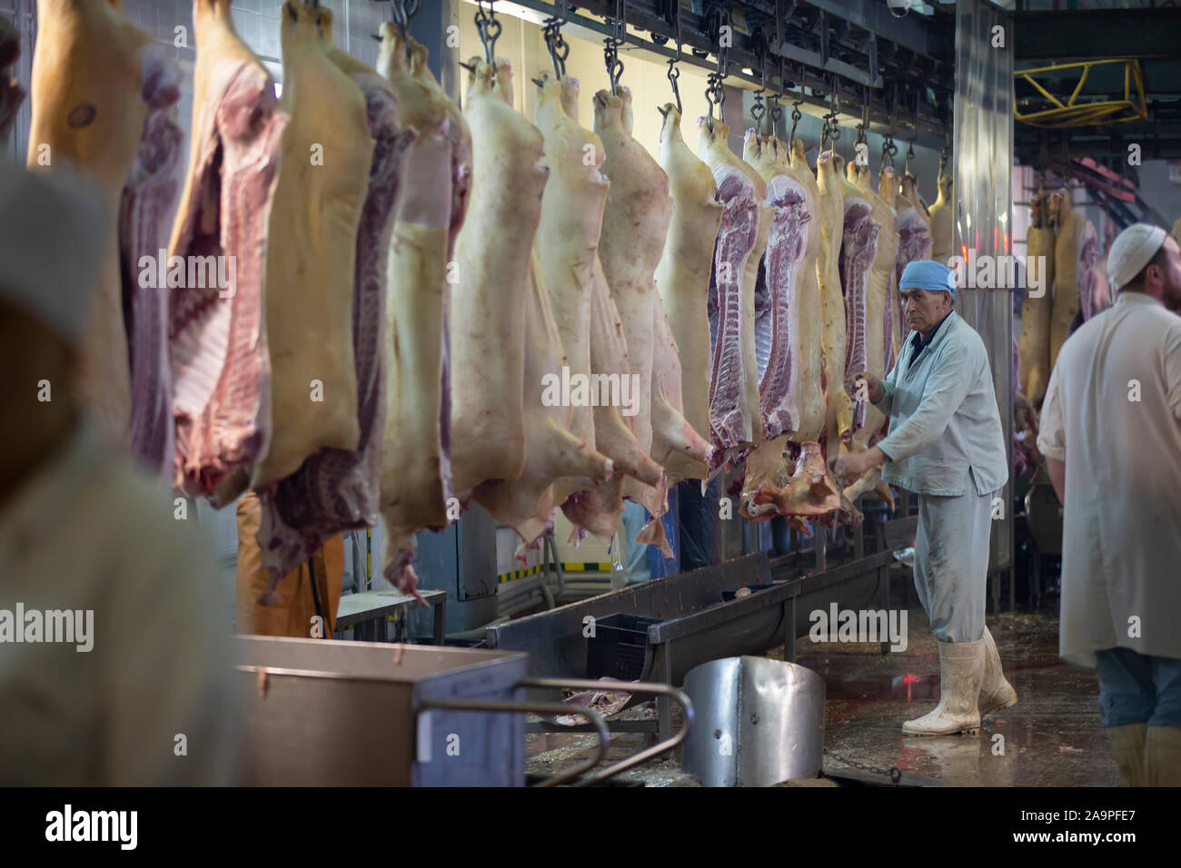 Meat factory hi-res stock photography and images - Alamy