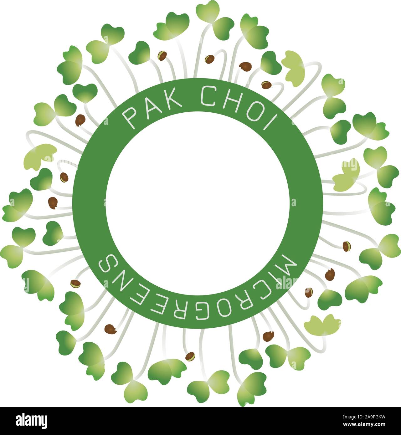 Microgreens Pak Choi. Seed packaging design, round element in the ...