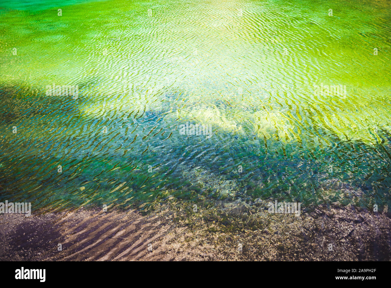 Gruner See, Austria Peaceful mountain view with famous green lake in ...