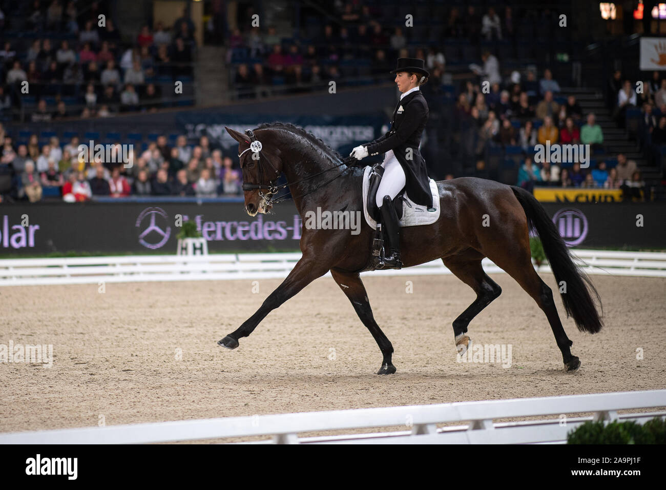 Stuttgart, Germany. 17th Nov, 2019. 35th Stuttgart German Masters ...